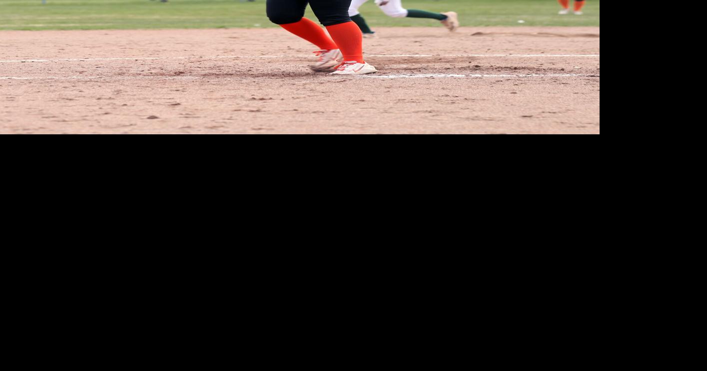 Ludington softball falls to Norsemen in district semis | Ludington ...