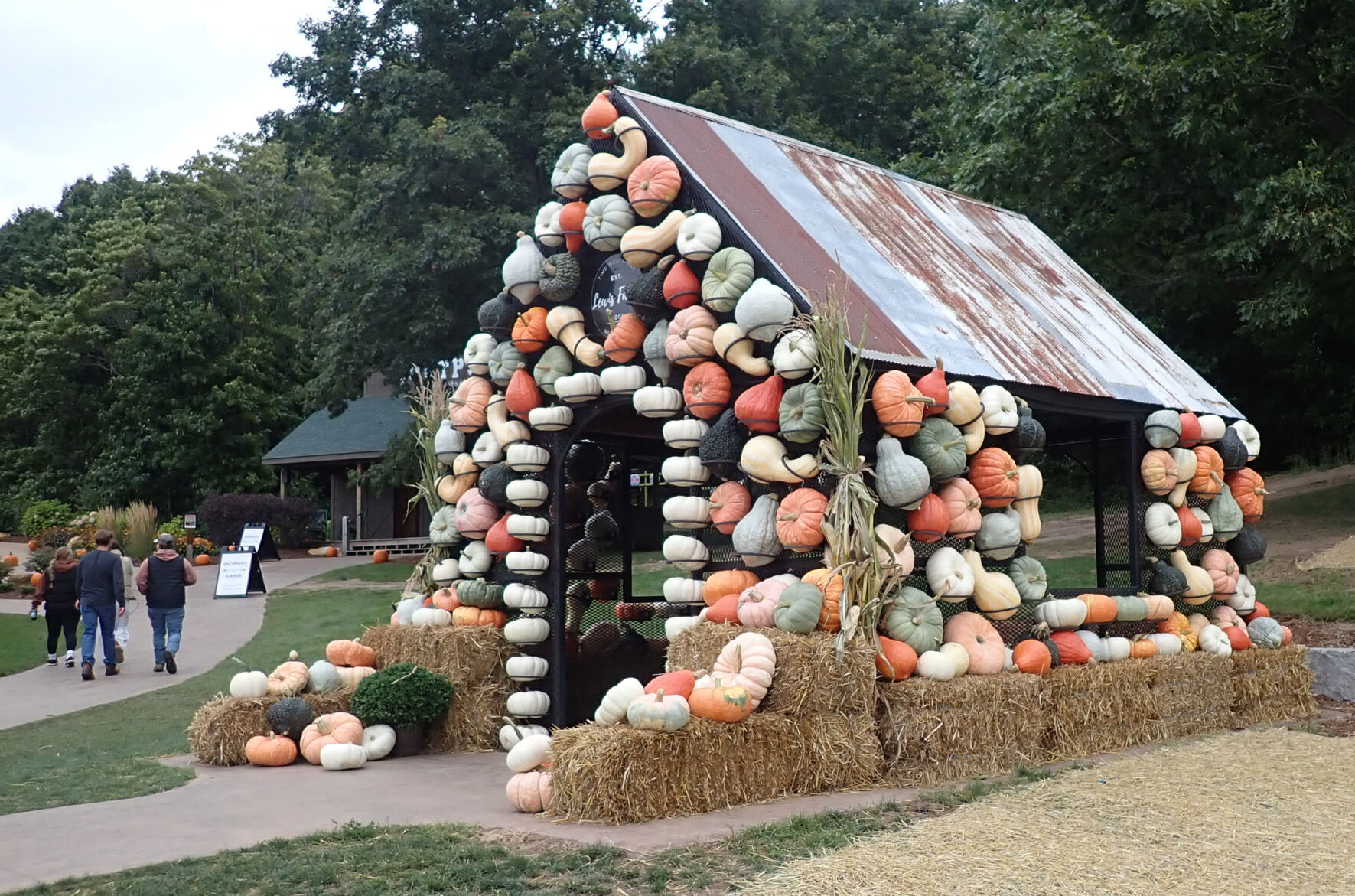 Lewis Adventure Farm embraces autumn fun | News | shorelinemedia.net