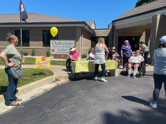 Lemonade stand raises funds for Childhood Cancer Campaign | News ...
