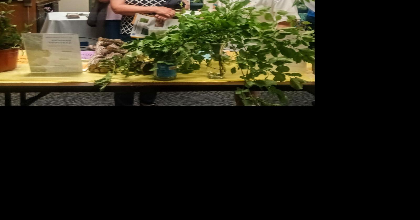 North Country CISMA provides wealth of information on invasive species ...