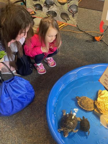 Earth Day Celebration | News | shorelinemedia.net