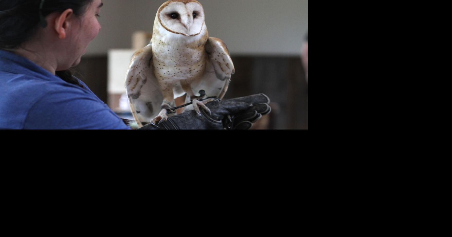 A 'wild' time at the senior center | News | shorelinemedia.net