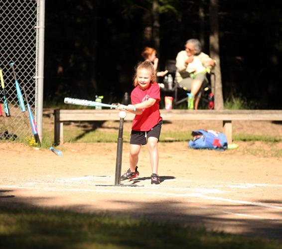 T-Ball shines at Memorial Tree Park | Ludington Daily News ...