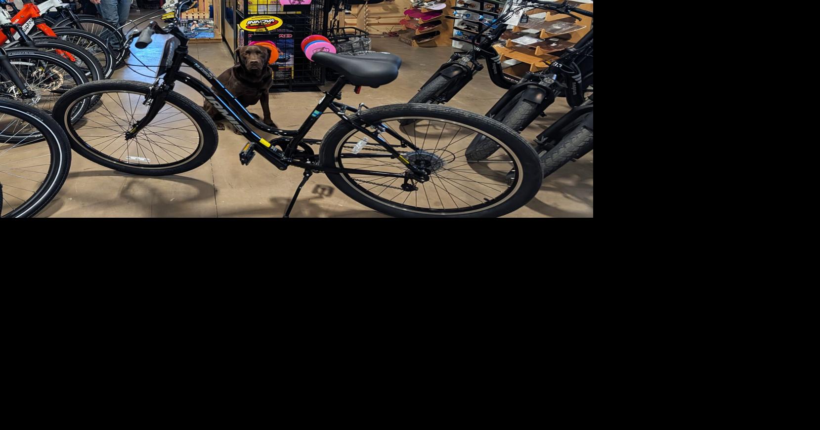 ‘Walk It Bike It’ for the environment and your health | News ...
