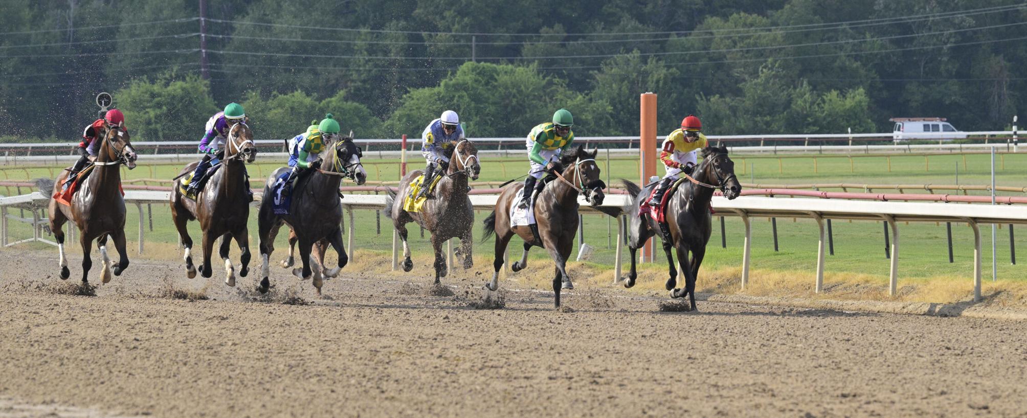 Every trainer of 2024 Triple Crown winners, Kentucky Derby runner ...
