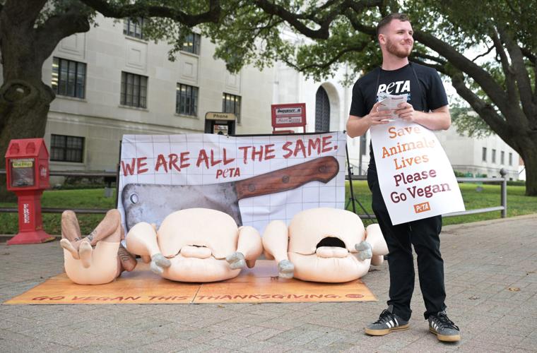 peta protest