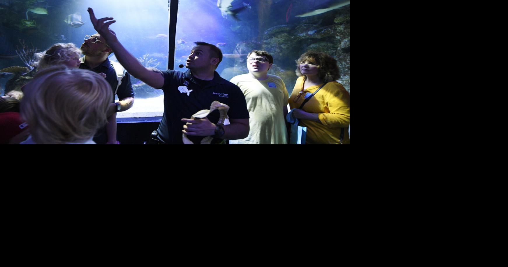 Photos: Shreveport Aquarium celebrates Shark Week | Photos ...