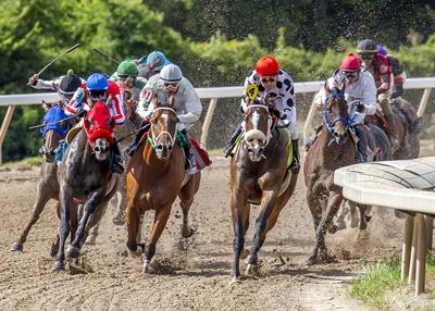 Super Derby reboot boasts double-digit nominations | Sports ...