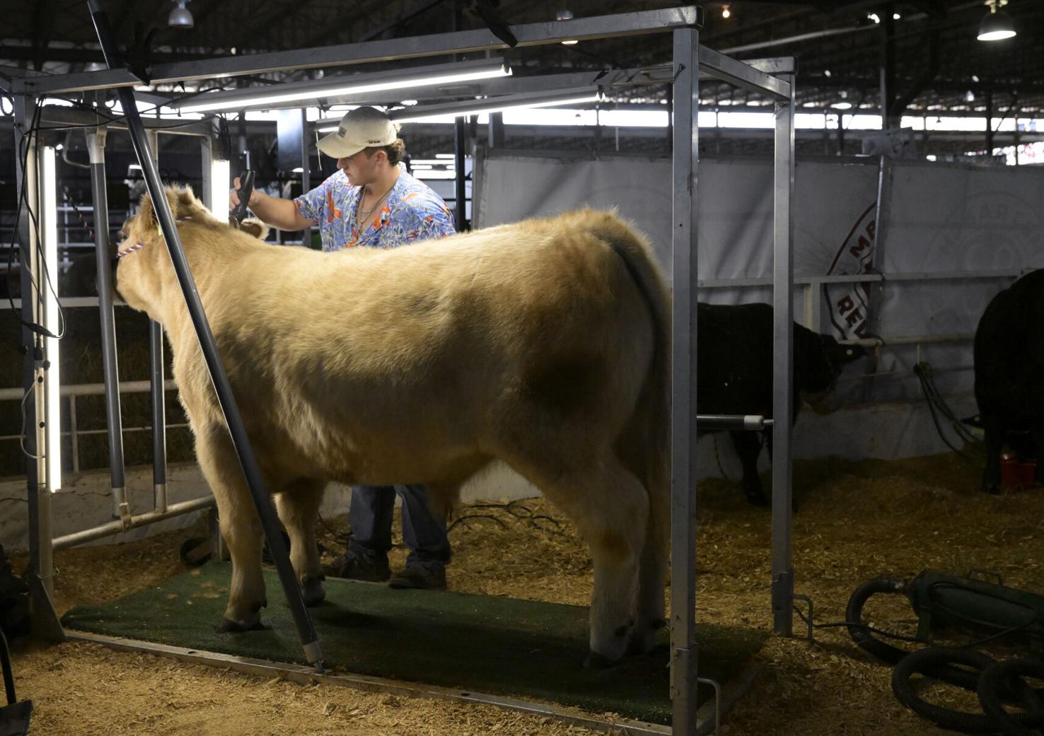 State Fair of Louisiana in Shreveport opens | Food & Entertainment ...