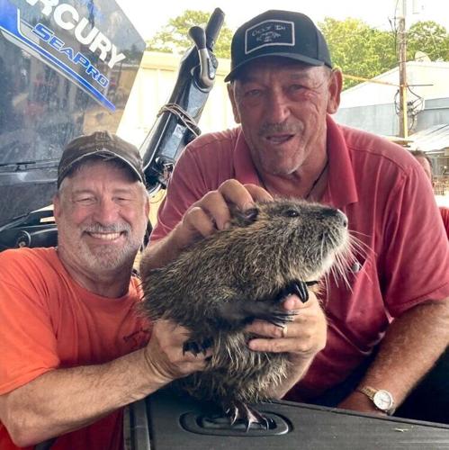 Neuty replaces Beignet at Rougarou Fest, tailgates Saints | Food ...