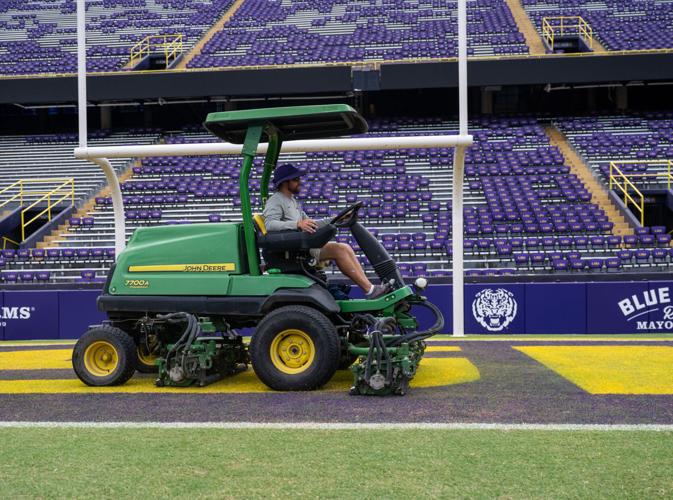 The grass at LSU's Tiger Stadium | Food & Entertainment ...