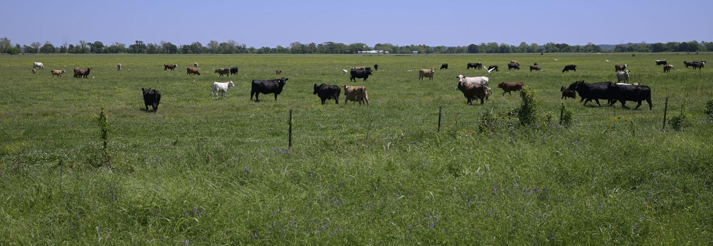 Where are north Louisiana solar farms planned? | Business ...