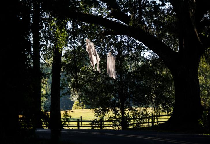 The legend of the Mary Jane Bridge in Broussard, Louisiana | Curious ...