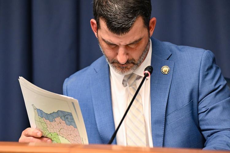 New Louisiana congressional map emerges in Senate | State Politics ...