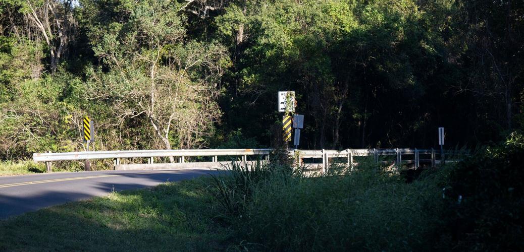 The legend of the Mary Jane Bridge in Broussard, Louisiana | Curious ...