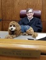 Jeff Landry taps Caddo judge David Matlock to head DCFS | News ...