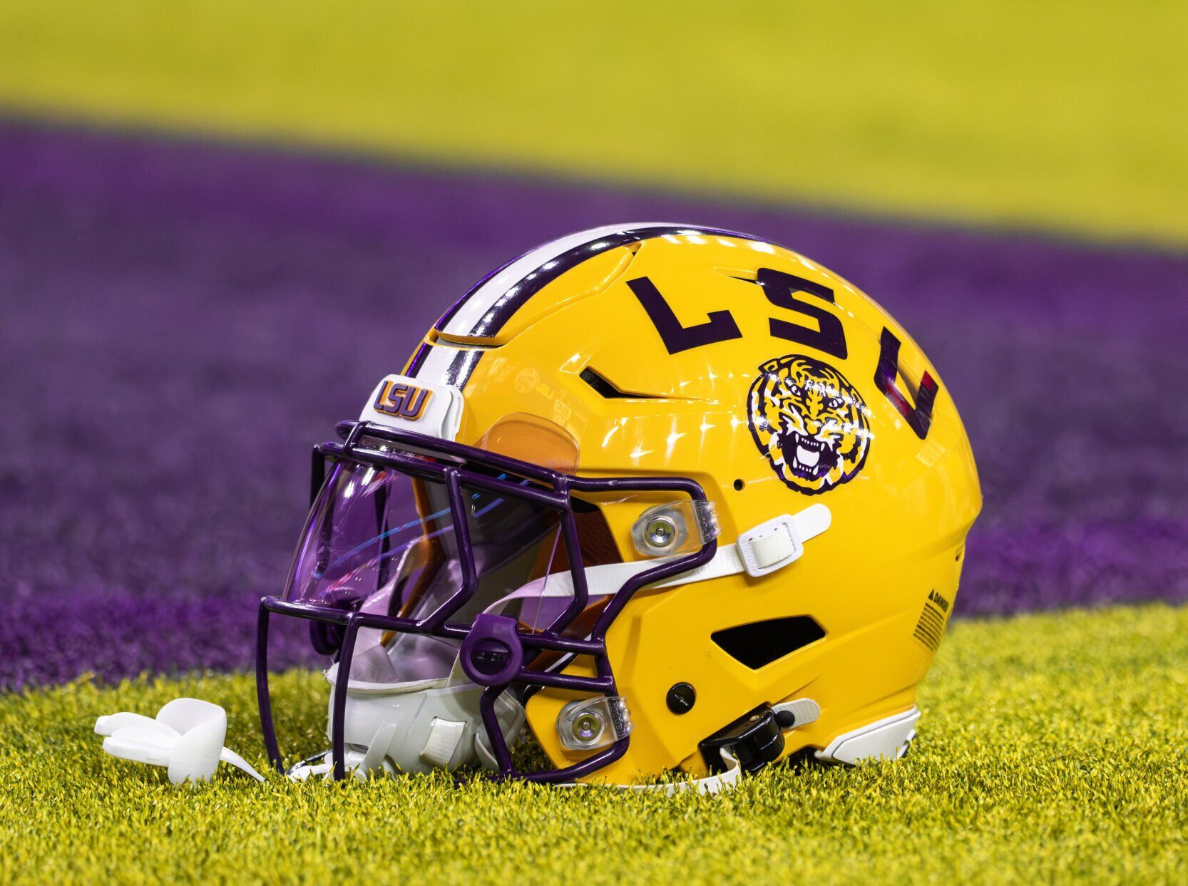 LSU football adds Troy transfer receiver Roman Mothershed | LSU ...
