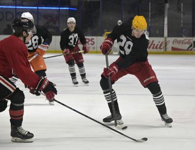 Third-period goal punctuates Shreveport Mudbugs' rally, victory in ...
