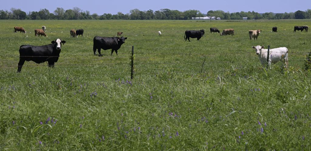 Where are north Louisiana solar farms planned? | Business ...