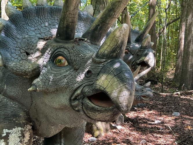 Prehistoric Park in Breaux Bridge features 28 dinosaurs | Food ...