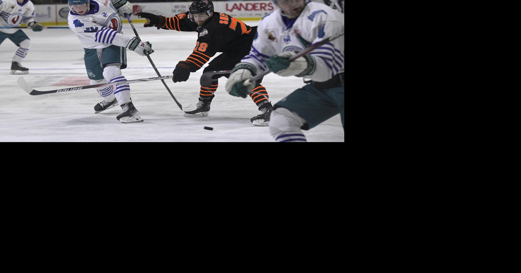 Photos: Mudbugs win first playoff game against El Paso | Photos ...