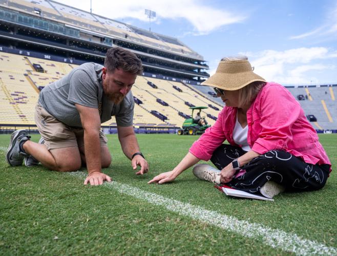 The grass at LSU's Tiger Stadium | Food & Entertainment ...