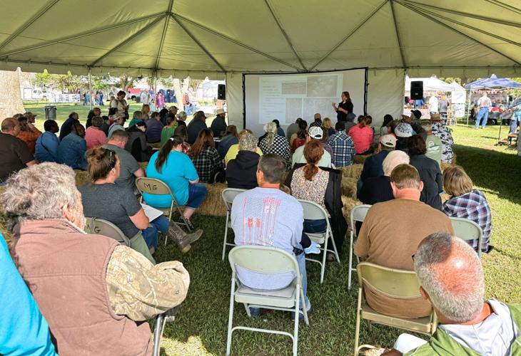 Louisiana homesteading conference coming to Bossier | News ...