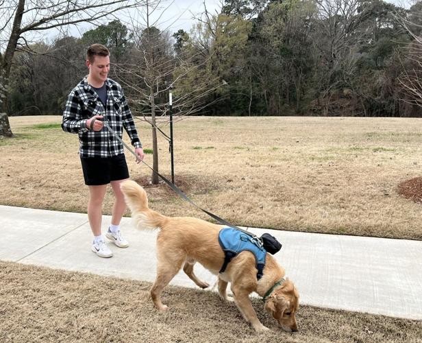 Doggie DNA is being used in Shreveport, Bossier to stop poo | Business ...
