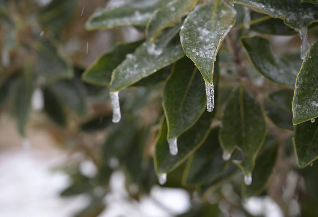 DeSoto Sheriff's Office Facebook followers offer winter tips | News ...