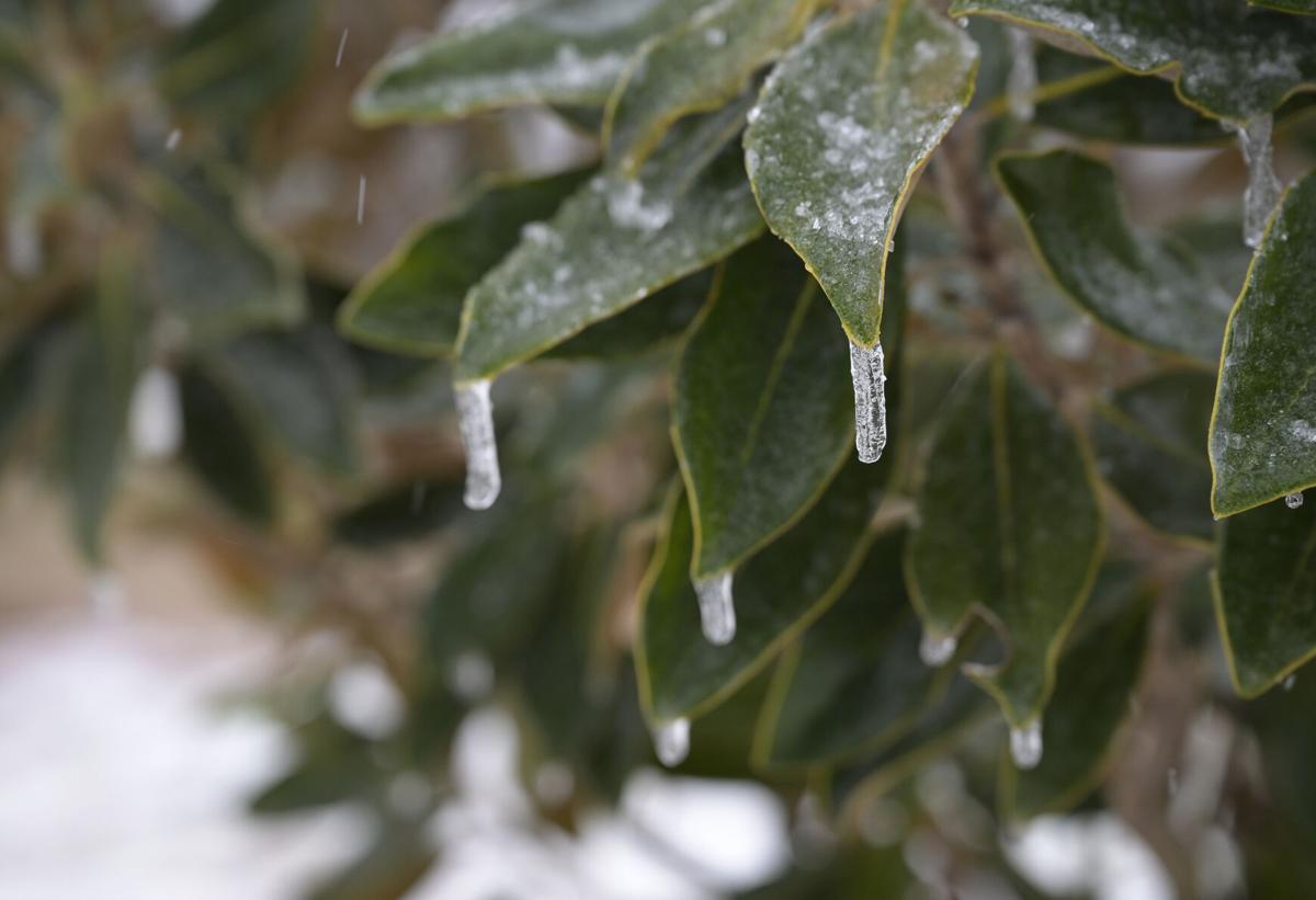 DeSoto Sheriff's Office Facebook followers offer winter tips | News ...