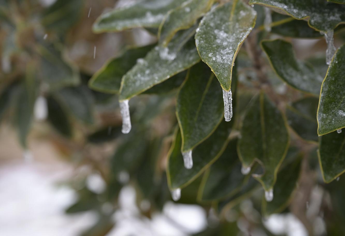 DeSoto Sheriff's Office Facebook followers offer winter tips | News ...