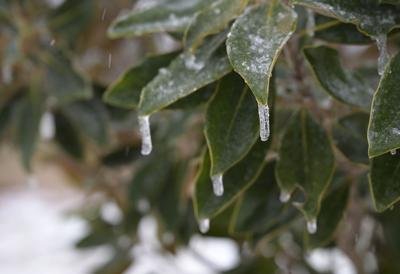 DeSoto Sheriff's Office Facebook followers offer winter tips | News ...