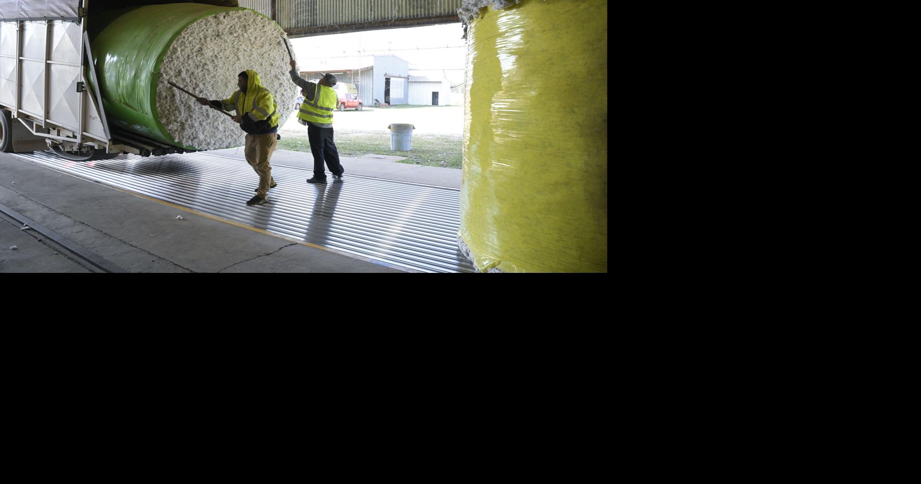 Photos: Take a look inside a cotton gin operation in Gilliam | Photos ...