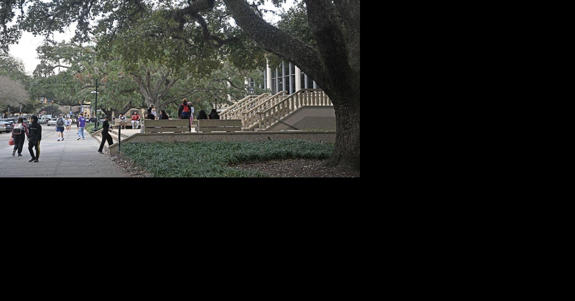 LSU names new senior vice chancellor after national search | News ...