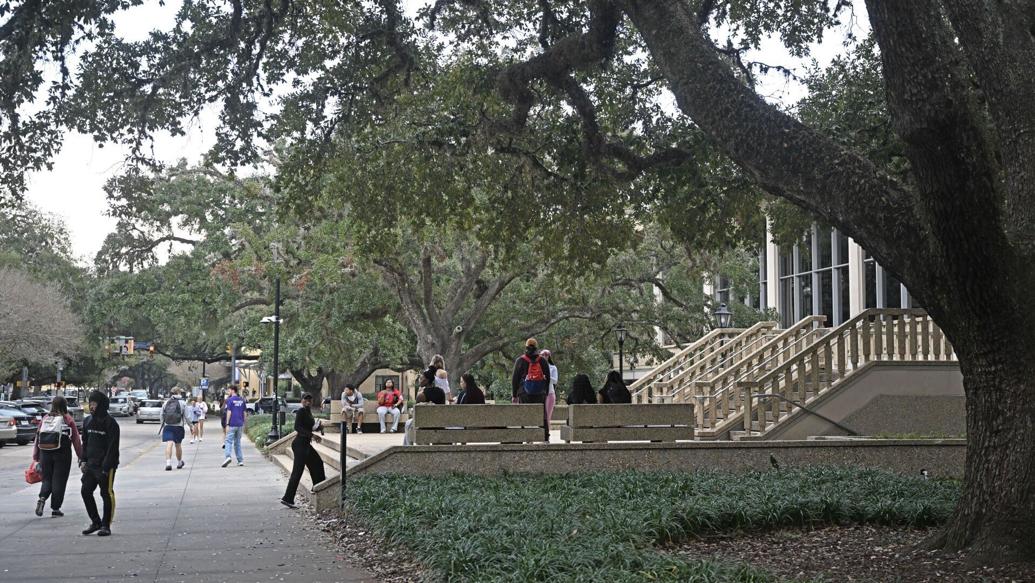 LSU names new senior vice chancellor after national search | News ...