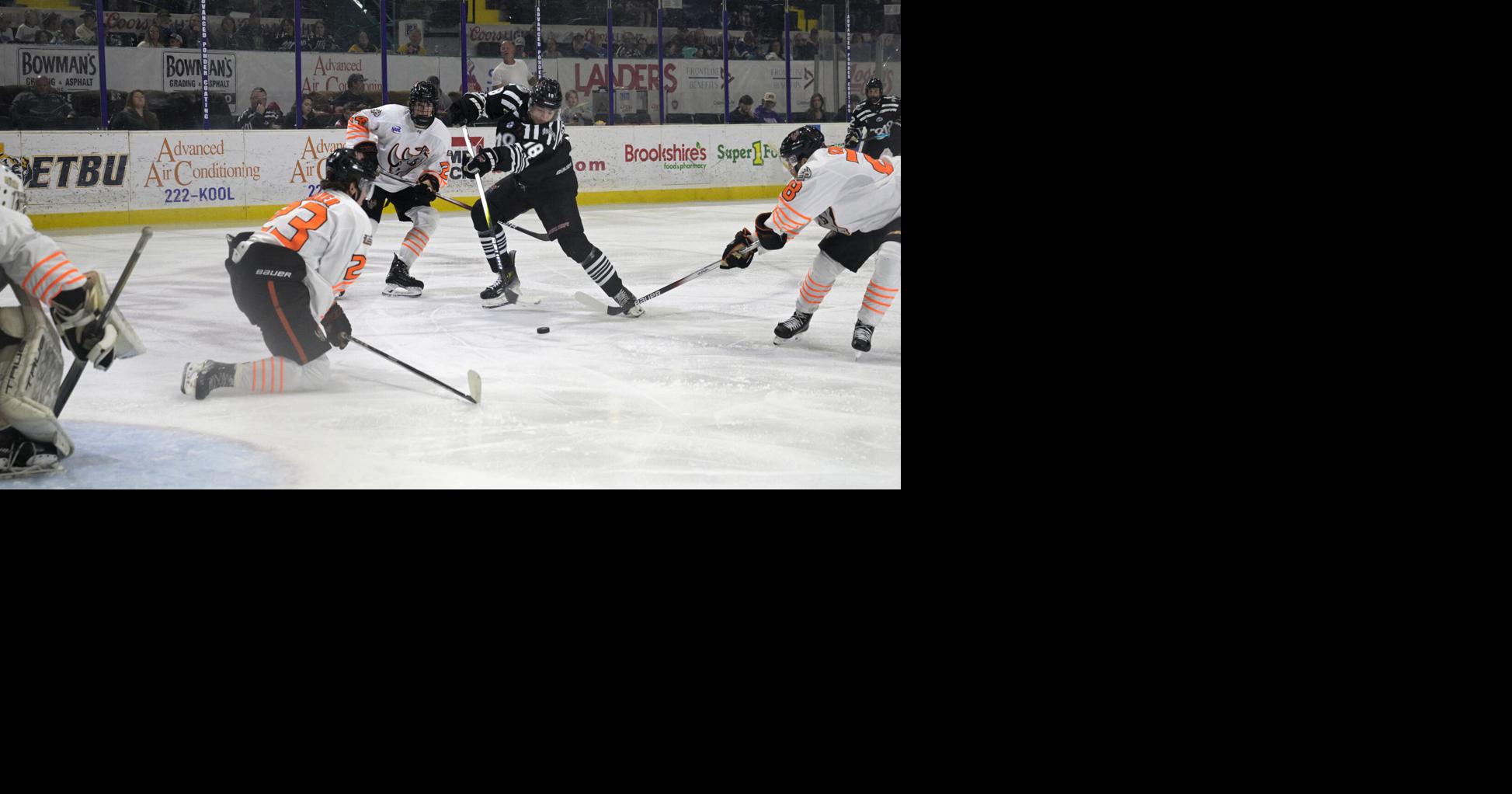 Shreveport Mudbugs' first playoff opponent revealed | Sports ...