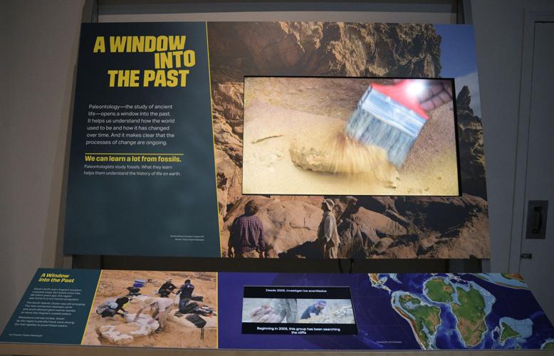 Smithsonian traveling exhibit brings mosasaurs to Shreveport | News ...