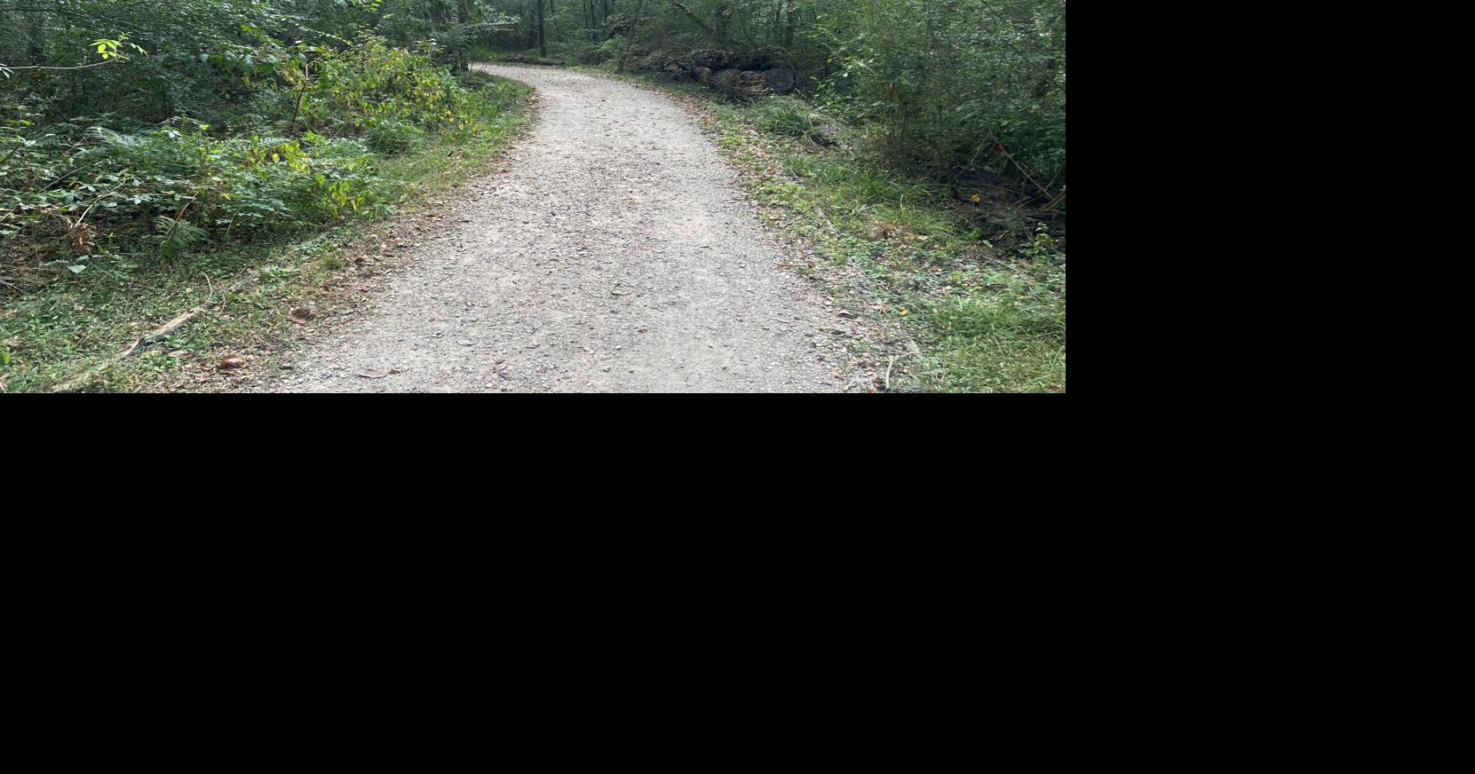 zac Walking the Young Forest Primitive Trail.jpg ...