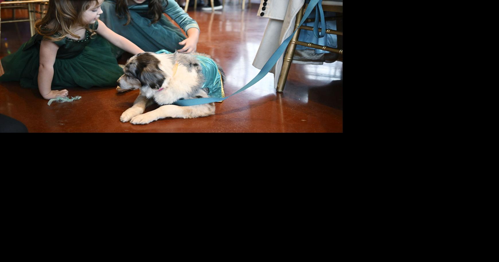 Photos: Krewe of Barkus & Meoux Jazz hosts Brunch XXIV | Food ...