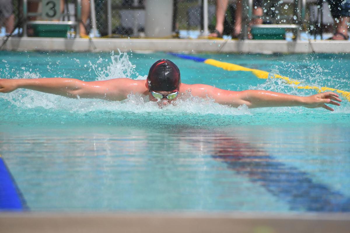 Sidney Tiger Sharks: Swimmers perform well at Scobey meet | Local ...