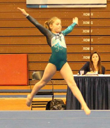 Gymnasts compete at state meet | Local Sports | sidneyherald.com