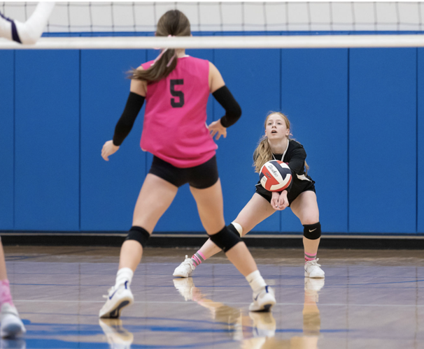 Fairview volleyball raises awareness for breast cancer at PINK night ...