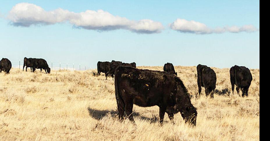 Montana is lead state on the Life From Soil initiative | Agriculture ...