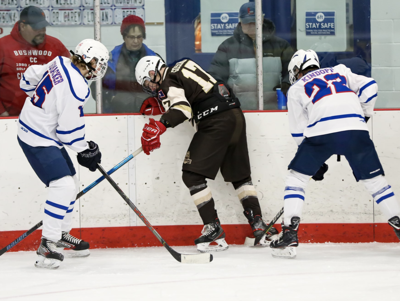 Junior gold boys hockey sweeps weekend slate | Local Sports News ...