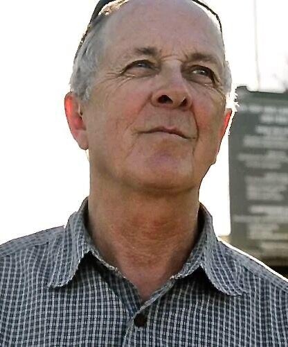 Bison and cattle coexist just fine | Editorials | sidneyherald.com