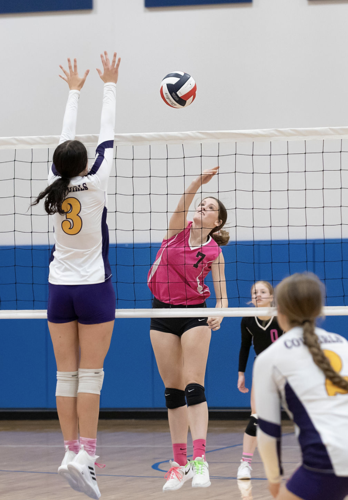 Fairview volleyball raises awareness for breast cancer at PINK night ...