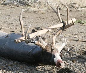 Hunting | Local News Stories | sidneyherald.com