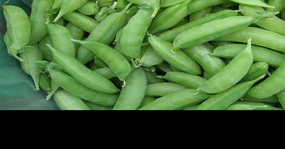 Growing fancy vegetables in the garden | Lifestyles | sidneyherald.com