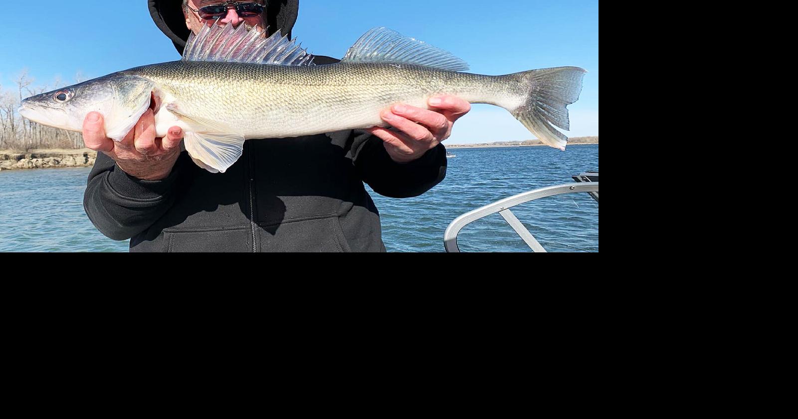 Post spawn success for fishing for walleye | Local Sports ...