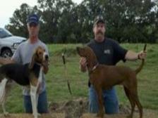 Coon hunting | Archives | sidneyherald.com